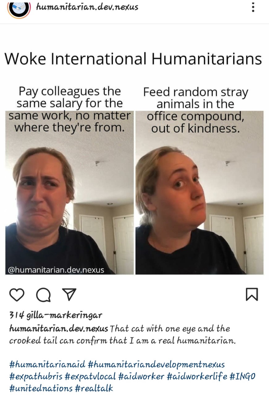 Aid Workers in the Spotlight, Part II: The Satirical Meme of the ...